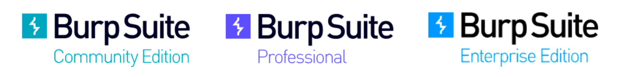 Burp Suite: ¿Qué es y para qué sirve?